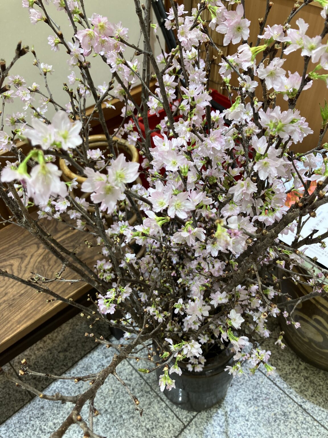 first day of spring.立春