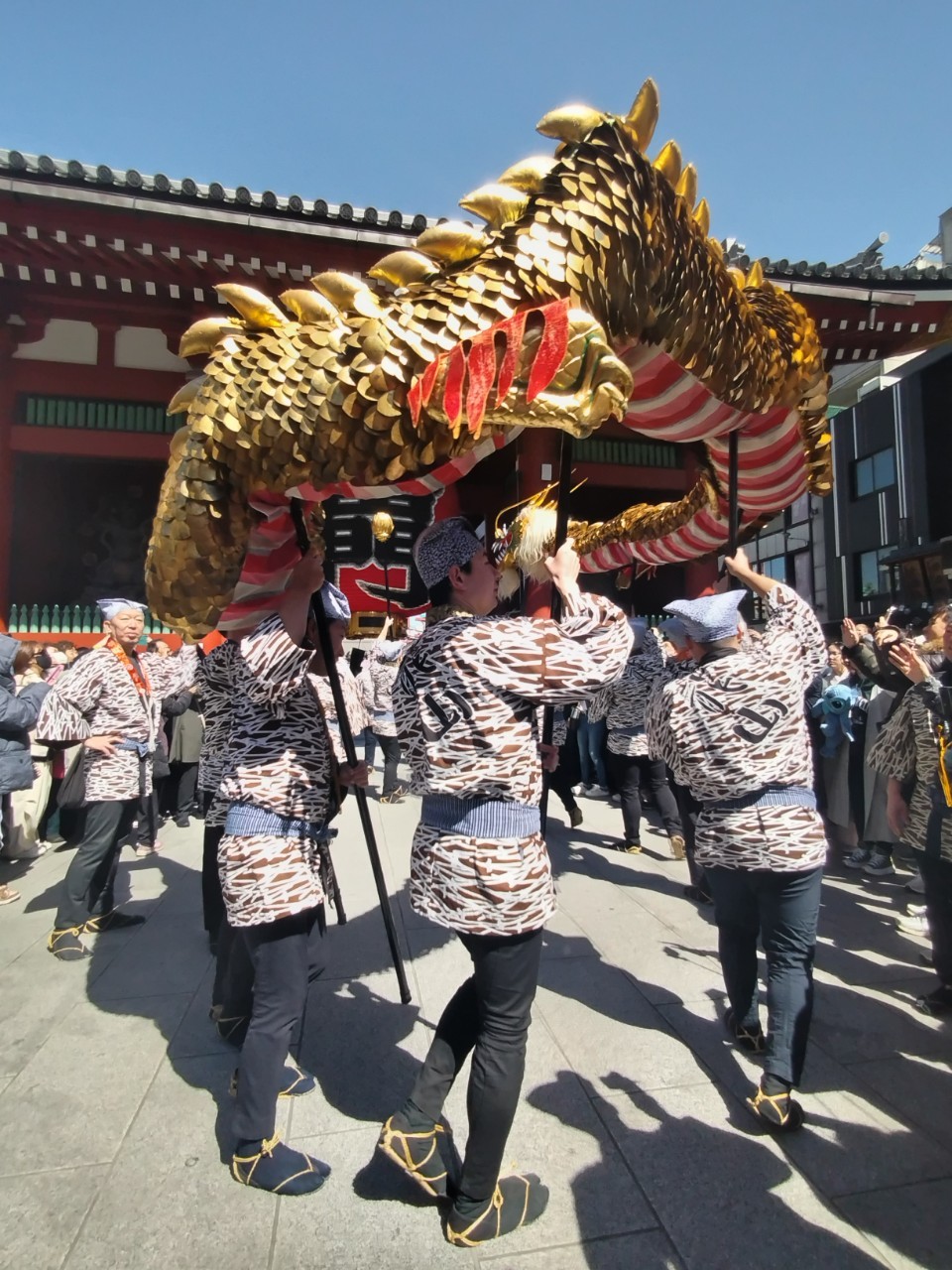 The Golden Dragon Dance金龍の舞